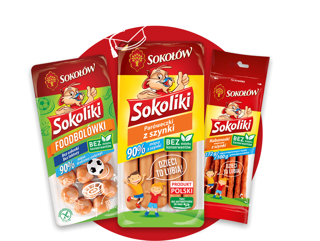 Strona główna | Sokołów SA